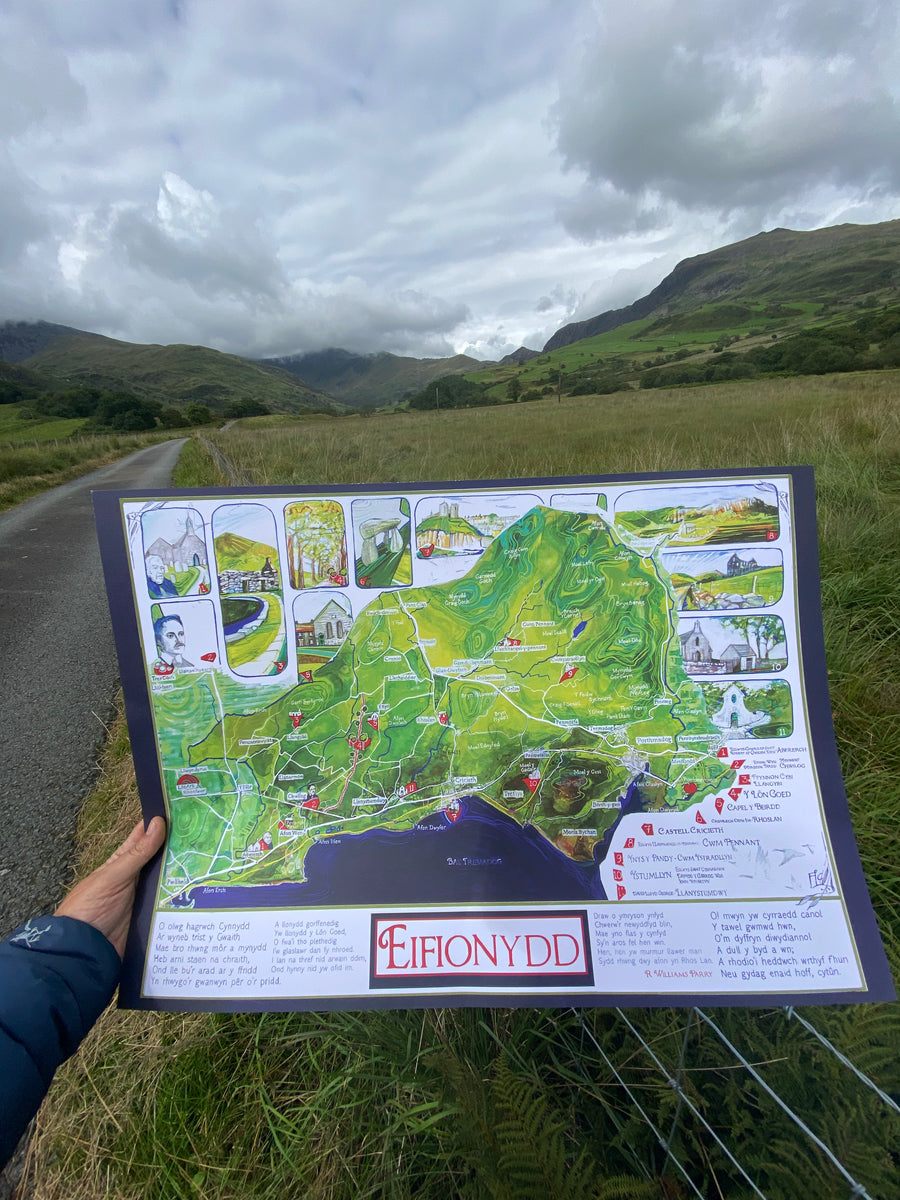 Eifionydd – ffiongwyn