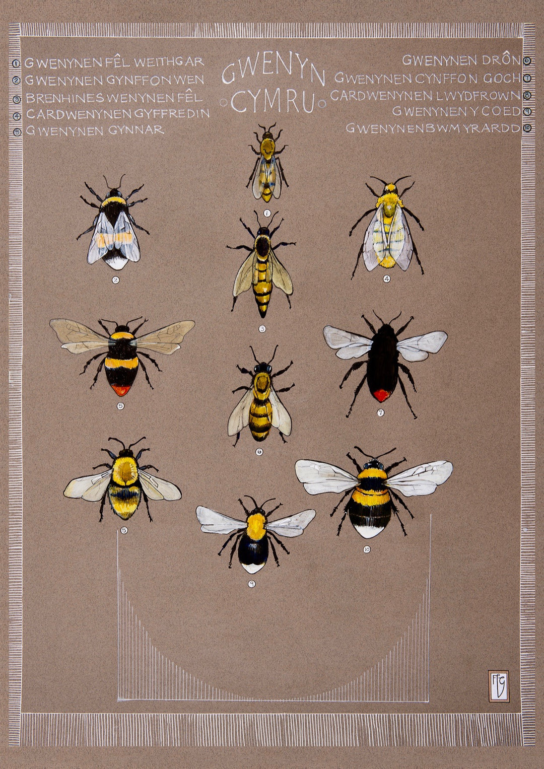 Gwenyn -Bees – ffiongwyn